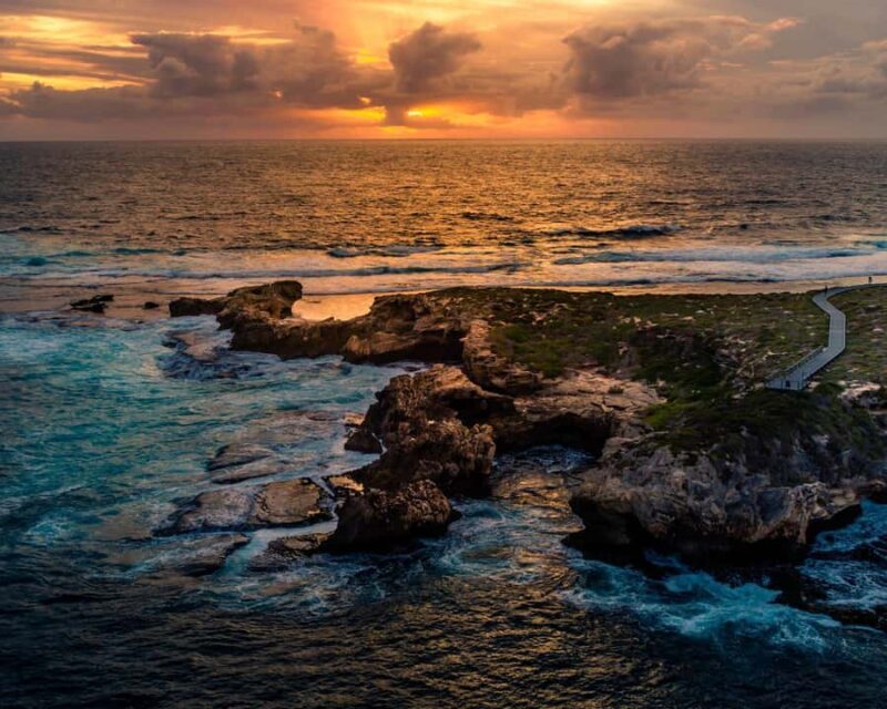 Rottnest Island Seals, Sunset & West End Bus Tour - Key Points