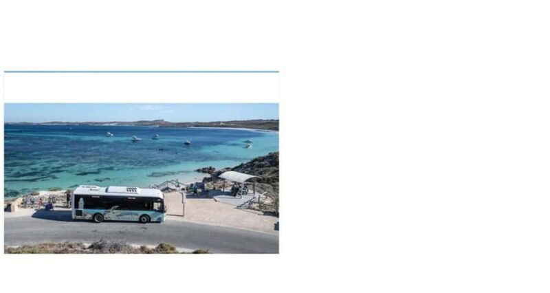 Rottnest Island Seals, Sunset & West End Bus Tour - Final Thoughts