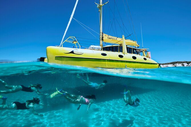 Rottnest Island 'Snorkel and Sail' - Authentic Review Highlights