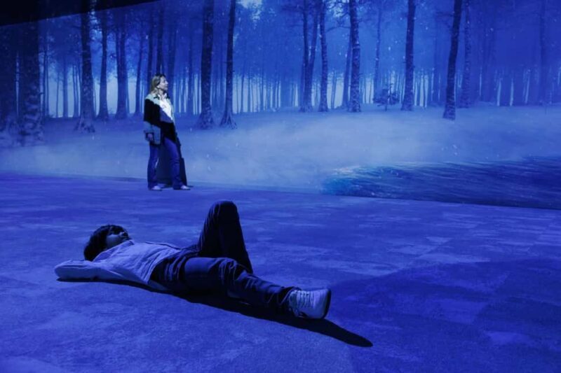 Rouen : Museum Immersive Viking Experience - Key Points