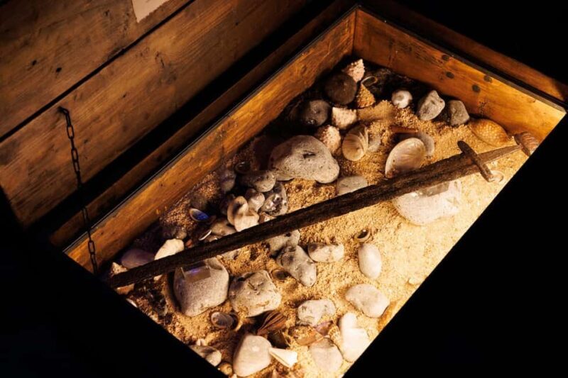 Rouen : Museum Immersive Viking Experience - Authenticity and Highlights from Reviewers