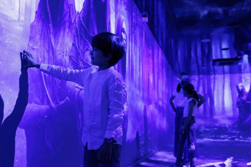 Rouen : Museum Immersive Viking Experience - Value for Money and Practical Tips