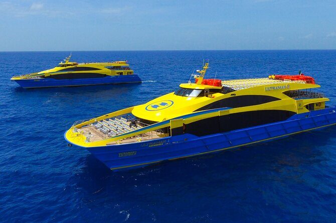 Round Transportation from Cancun to Cozumel Island in One Day - Final Thoughts