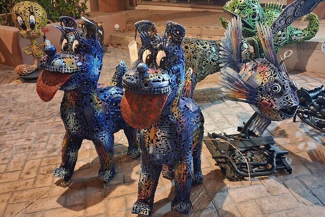 Round Trip Private Trip Los Cabos-San Jose Cabo Airport - What’s Included and What’s Not