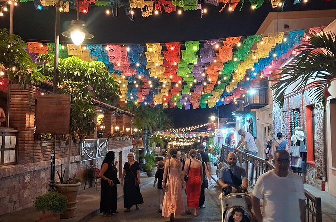 Round Trip Private Trip Los Cabos-San Jose Cabo Airport - Who Will Benefit Most?