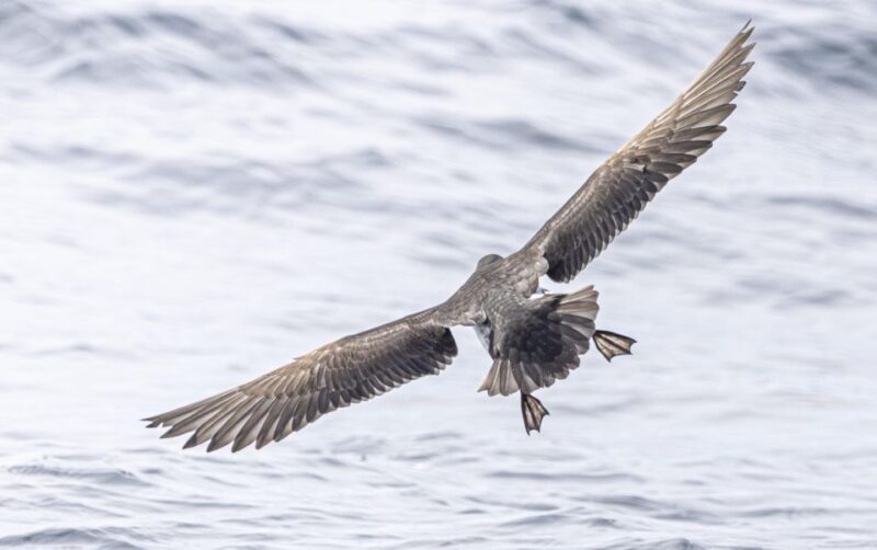 Rounding Cornwall Boat Trip Experience. (Departing Penzance) - What’s Included and Practical Details  