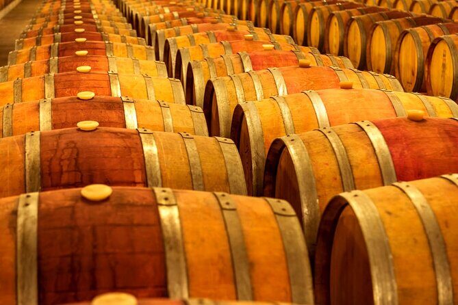 Roundtrip Airport Transportation with wine tour package - The Sum Up: Who Is This Tour Best For?