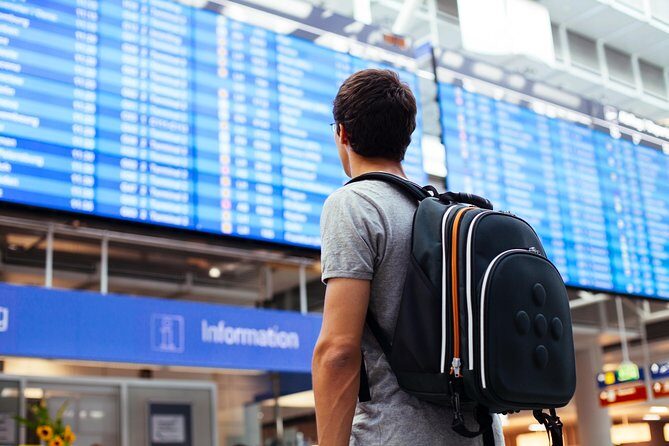 Roundtrip Private Transfer from Paris Airport (CDG)(ORY) - The Vehicle and Comfort