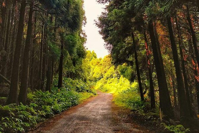 Route DA Pico Island - Authenticity and Experience