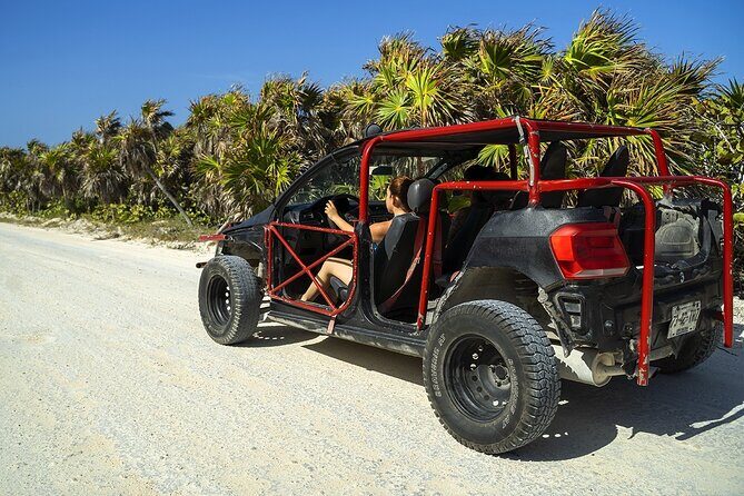 Route of Adventure: Punta Sur Park and Clear Boat Cozumel - Practical Details and Considerations