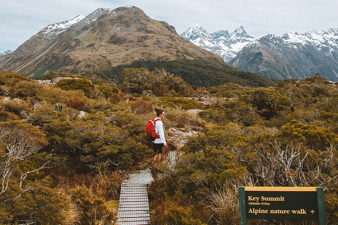 Routeburn Guided Day Hike from Te Anau with Lunch & Transport - Pricing and Value
