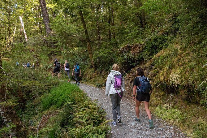Routeburn Track Guided Walk (Half-Day) - Authentic Insights From Travelers