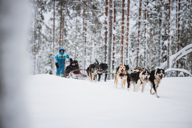 Rovaniemi 2 days Activities Package - Authentic Experiences from Reviewers