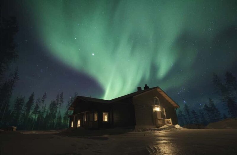 Rovaniemi: 2km Aurora Reindeer Safari Through the Forest - The Experience in Detail