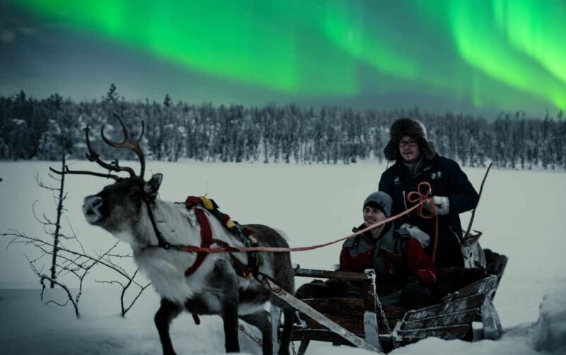Rovaniemi: 2km Aurora Reindeer Safari Through the Forest - Who Is This Tour Best For?