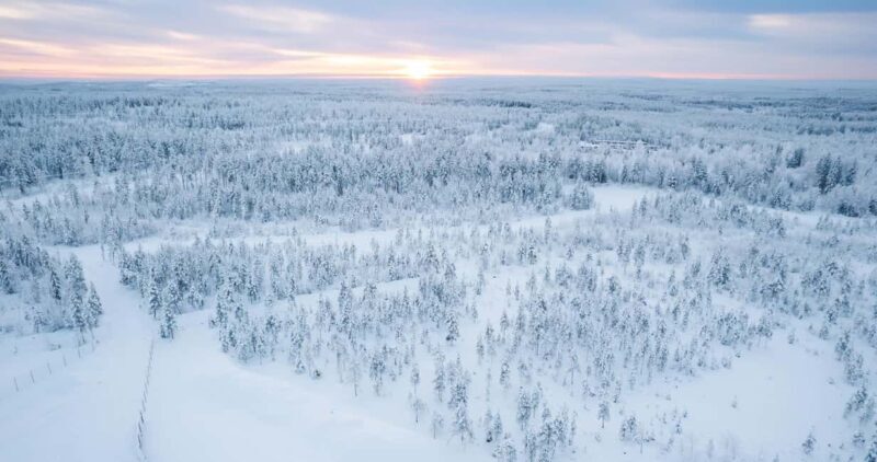 Rovaniemi: 2km Reindeer Sled Ride Through the Forest - Meeting and Feeding the Reindeer