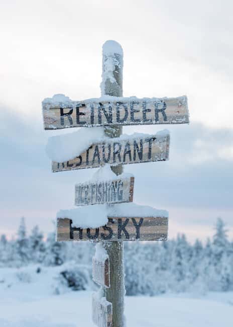 Rovaniemi: 2km Reindeer Sled Ride Through the Forest - What the Reviews Say