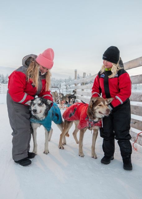 Rovaniemi: 4-5 km Self-Drive Husky Sled Through the Forest - An In-Depth Look at the Husky Sled Experience