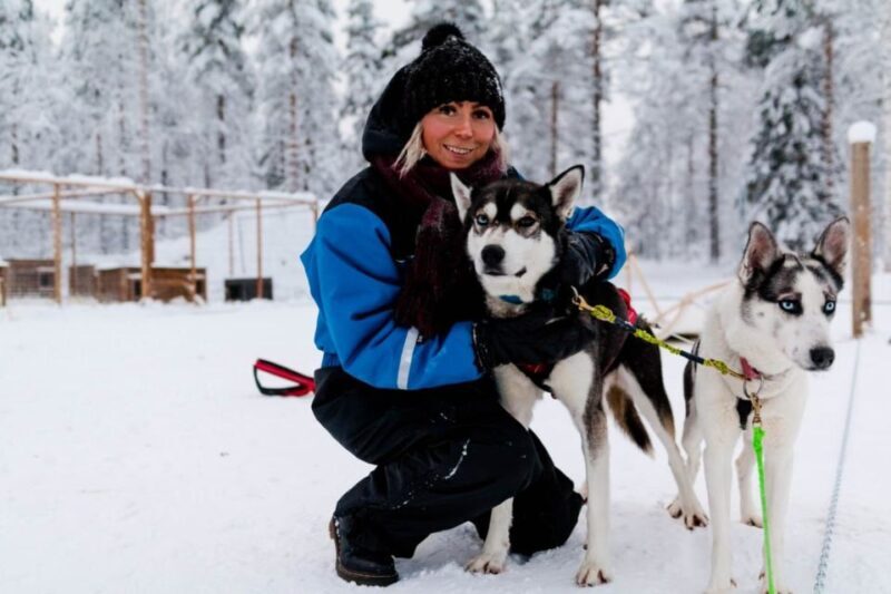 Rovaniemi: Apukka Husky Adventure 7km, self-driven - Rovaniemi: Apukka Husky Adventure 7km, self-driven – A Complete Review