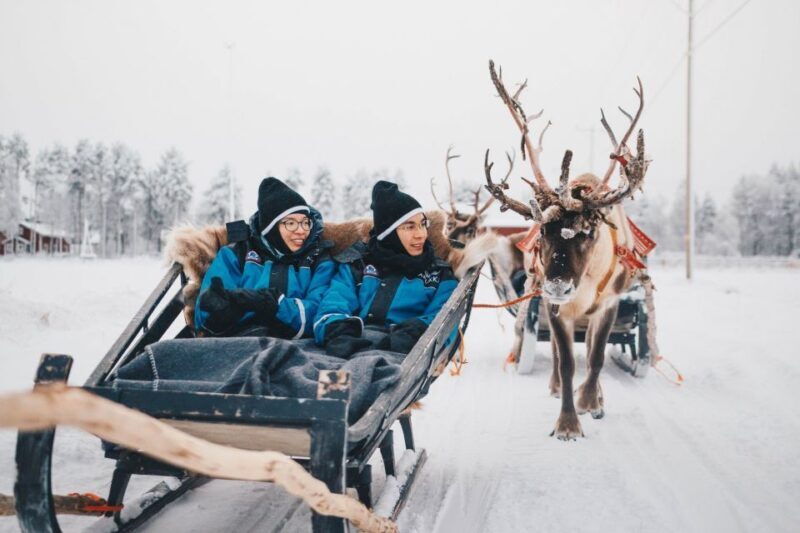 Rovaniemi: Apukka Reindeer Journey - What to Expect on the Reindeer Journey