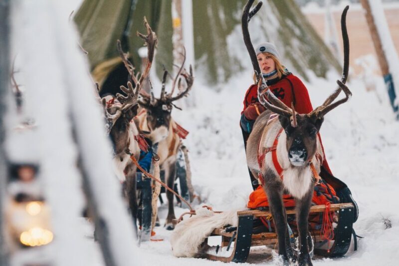 Rovaniemi: Apukka Reindeer Journey - Who Should Consider This Tour?
