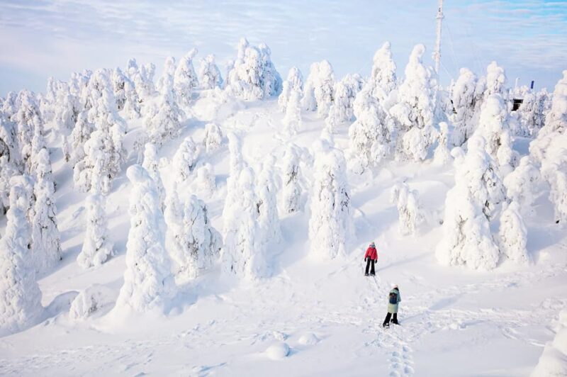 Rovaniemi: Arctic Animals Sleigh Rides and Wildlife Zoo - The Sum Up – Is This Tour for You?