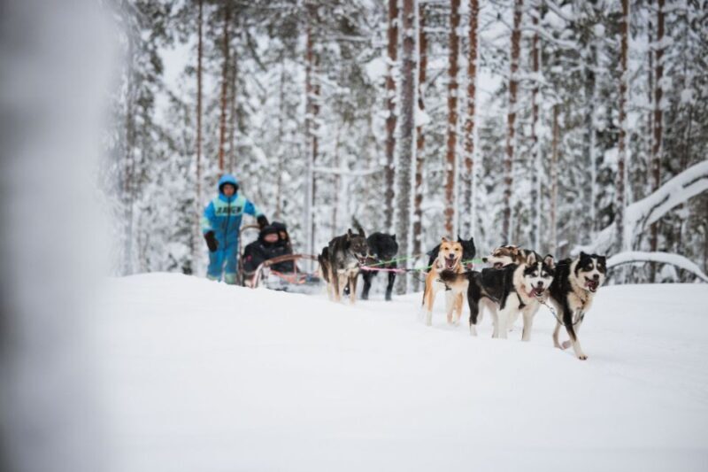 Rovaniemi: Arctic Circle Highlights by Snowmobile - FAQ