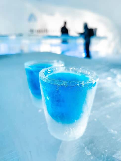 Rovaniemi: Arctic SnowHotel Tour and Dinner with Transfers - Final Thoughts