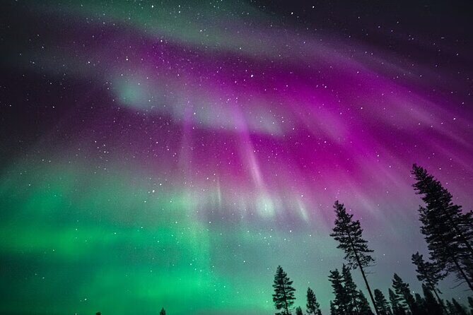 Rovaniemi: Aurora Activity Guarantee - 97% Success Rate Tour - Key Points