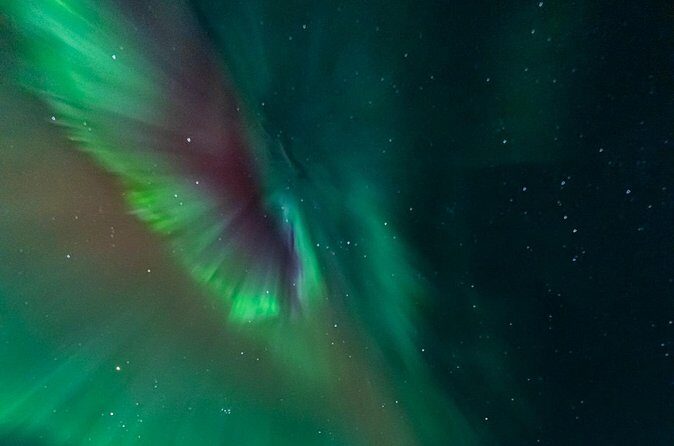 Rovaniemi: Aurora Activity Guarantee - 97% Success Rate Tour - Transportation & Group Size