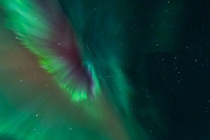 Rovaniemi: Aurora Activity Guarantee - 97% Success Rate Tour - Authentic Experience and Value