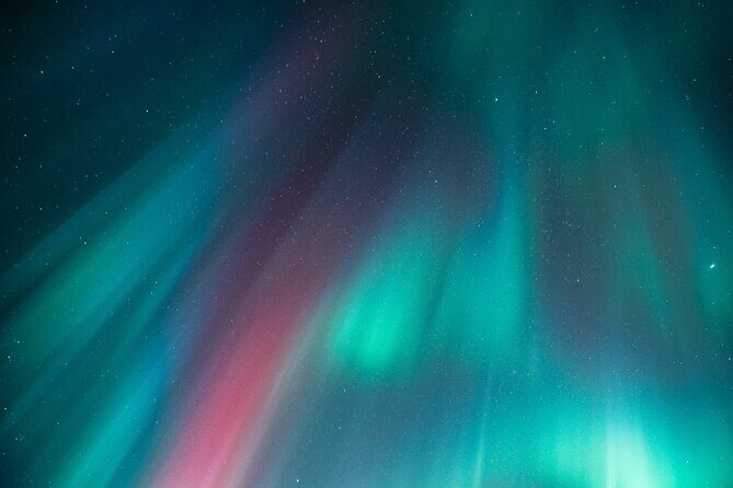 Rovaniemi: Aurora Activity Guarantee - 97% Success Rate Tour - Who Will Love This Tour?