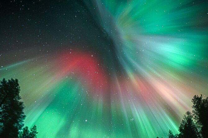 Rovaniemi: Aurora Activity Guarantee - 97% Success Rate Tour - Final Thoughts