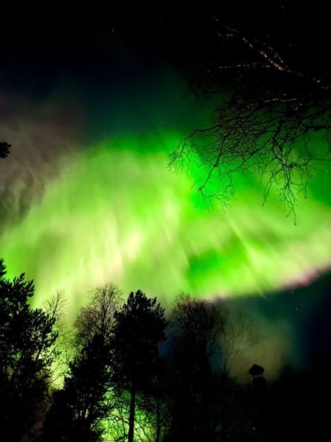 Rovaniemi: Aurora BBQ at the Best Spots - An In-Depth Look at the Aurora BBQ Tour in Rovaniemi