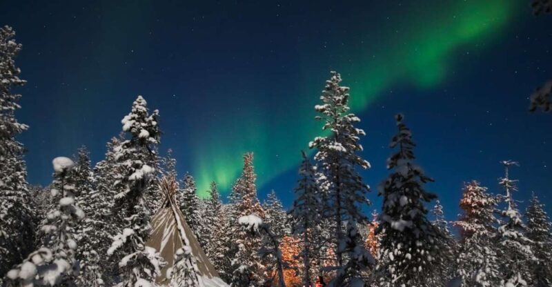 Rovaniemi: Aurora Borealis and Picnic - An Introduction to the Rovaniemi Aurora Borealis and Picnic Tour