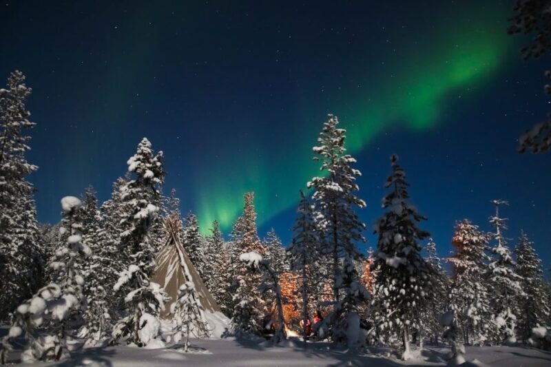 Rovaniemi: Aurora Borealis and Picnic - What Do Travelers Say? Authentic Insights from Reviews