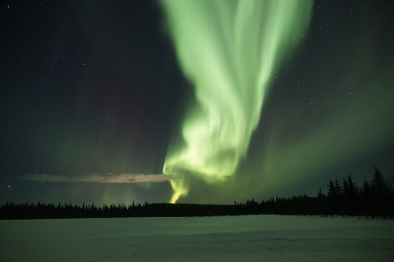 Rovaniemi: Aurora Borealis Hunting Photo Tour - The Reality Based on Reviews