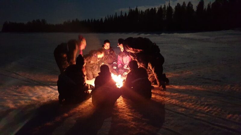 Rovaniemi: Aurora Borealis Snowmobile Safari with Campfire - The Experience in Detail: What to Expect