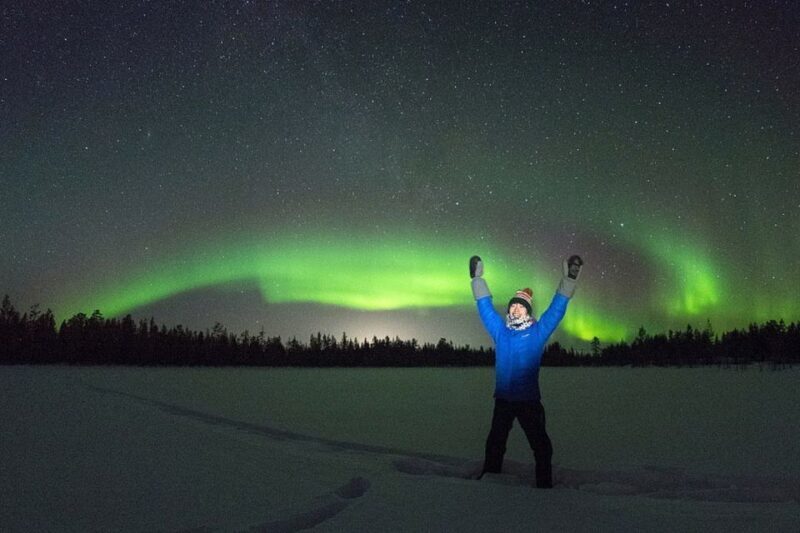 Rovaniemi: Aurora Borealis Tour - What the Tour Offers at a Glance