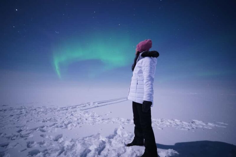 Rovaniemi: Aurora Hunt - Free Photos, 100% Guaranteed Refund - Who Is This Tour Best For?