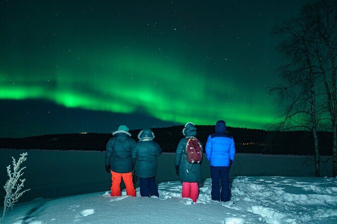 Rovaniemi: Aurora Hunt with Photograph & money back guarantee - Who Will Love This Tour?