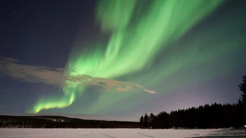 Rovaniemi: Aurora Hunting Photography Tour with Barbeque - Setting Off on a Northern Lights Adventure