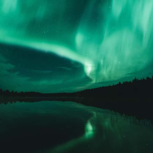 Rovaniemi: Aurora Hunting Photography Tour with BBQ Snacks - Is This Tour Worth It?