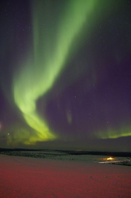 Rovaniemi: Aurora Hunting Photography Tour(98% Success Rate) - Key Points