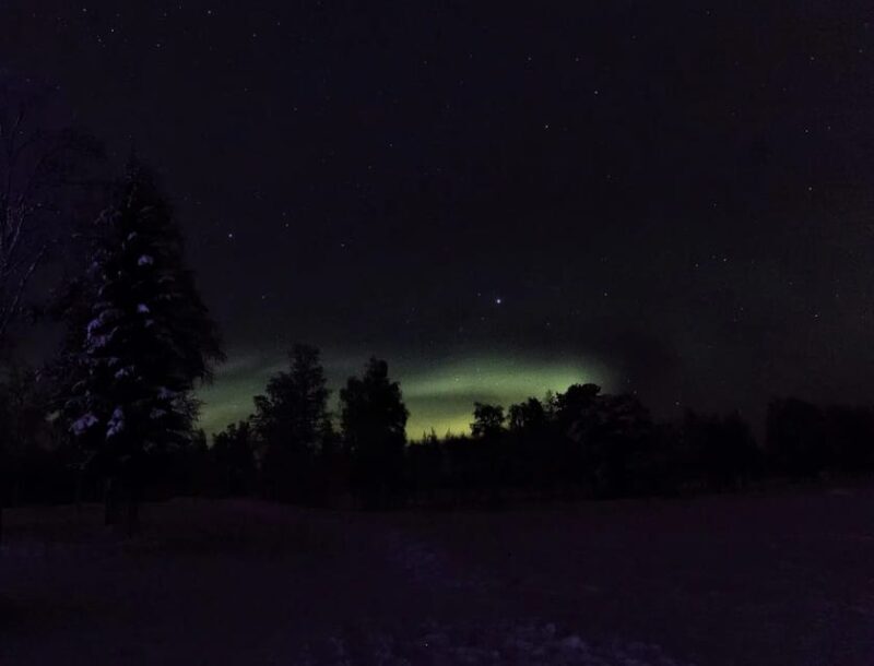 Rovaniemi: Aurora Hunting Tour in the Forest with Hot Drinks - An In-Depth Look at the Aurora Hunting Tour