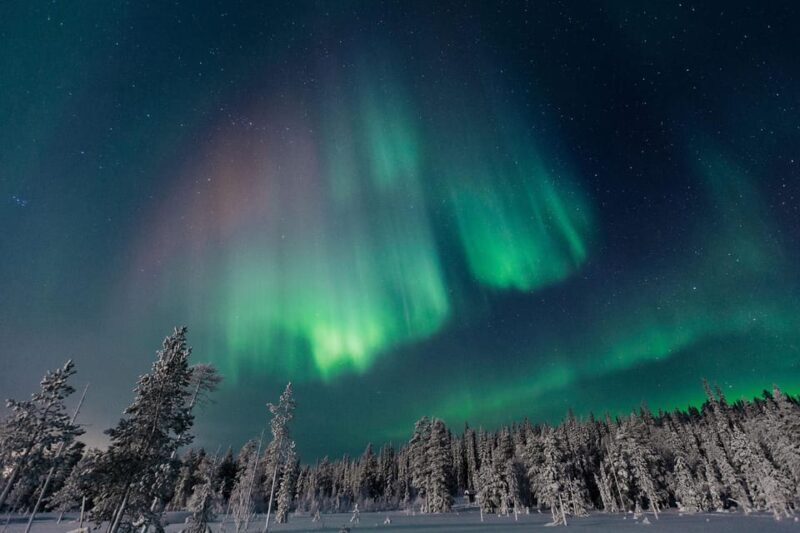 Rovaniemi: Aurora Hunting Tour in the Forest with Hot Drinks - The Practicalities
