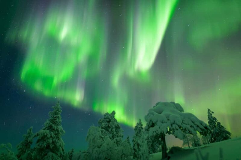 Rovaniemi: Auroras Northern Lights Trip - guaranteed lights - First Impressions: What to Expect on the Tour