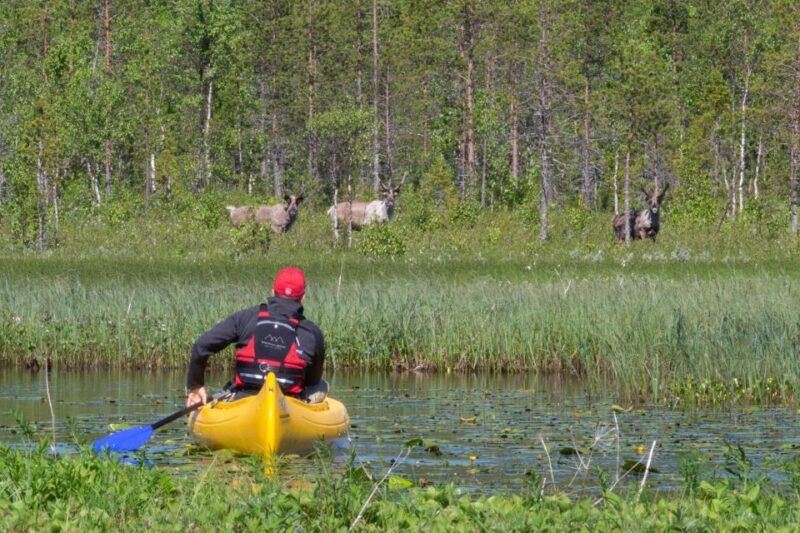 Rovaniemi: Authentic Reindeer Farm & Canoeing - An Authentic Taste of Lapland: Reindeer and Canoe Adventures in Rovaniemi