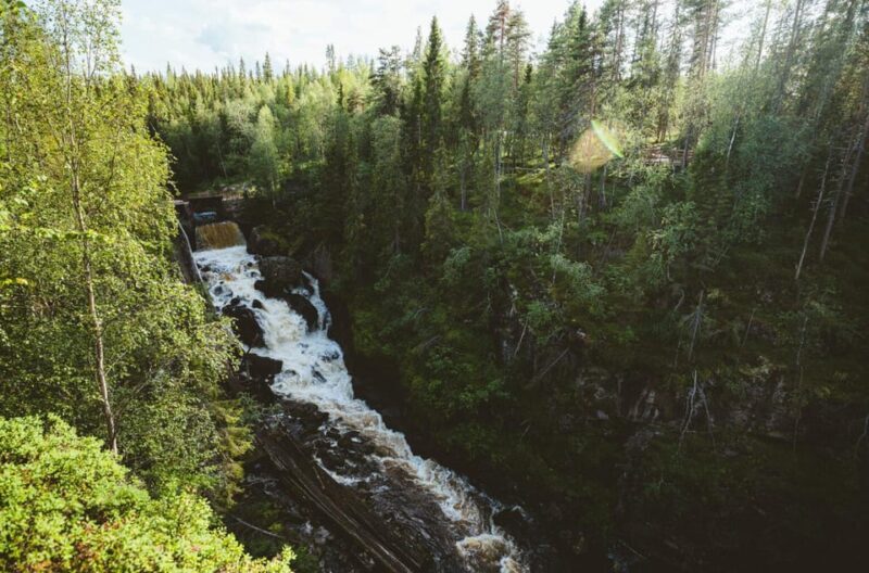 Rovaniemi: Auttiköngäs Waterfall Hike & Wilderness BBQ - Who Should Consider This Tour?