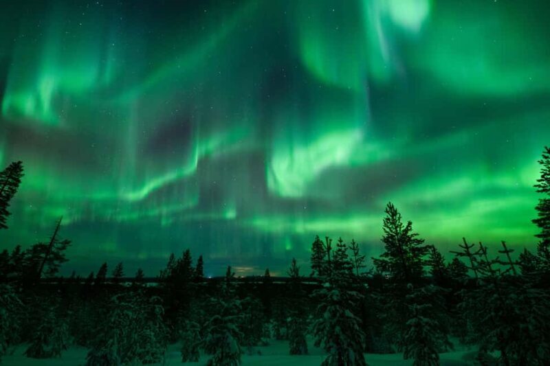 Rovaniemi: Best & Original Aurora Experience with Pro Photos - Who Should Book This Tour?